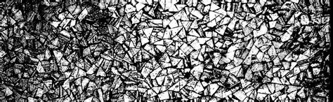 Chair In Complexity Science Te Maheno Chair In Complexity Science