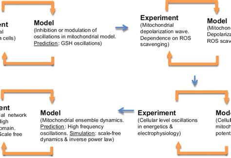 3 Overview Of The Experimental Computational Synergy As Applied To The