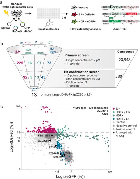 High Throughput Small Molecule Compounds Screen Identifies Modulators