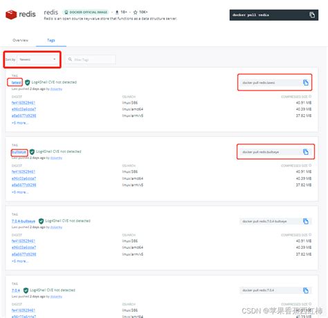 Docker 容器基础介绍 Docker容器 Csdn博客