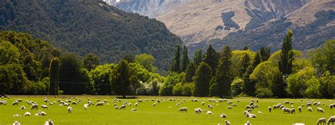 清新草原摄影背景背景图片下载1920x720像素格式编号z7nfe9q3v图精灵