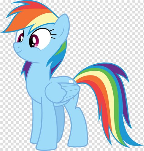 Rainbow Dash Brony Wallpaper