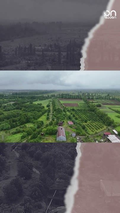 კოსმოდრომი თუ პოლიტიკური ტროას ცხენი Youtube