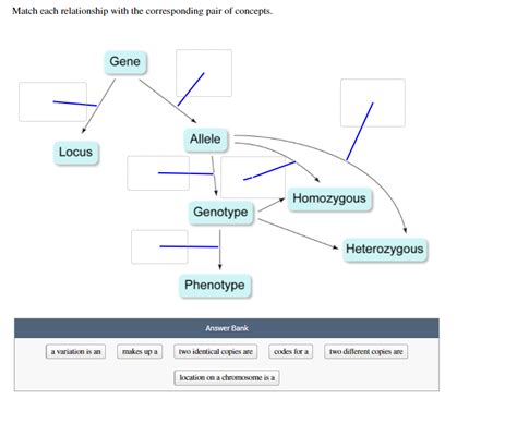 solved match each relationship with the corresponding pair