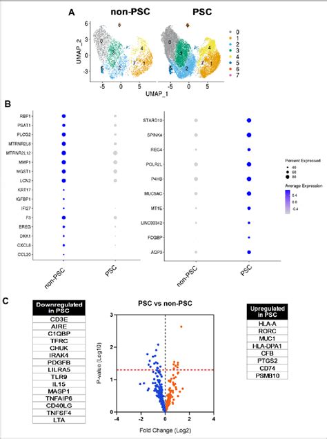 Figure 1 From Il 17 Signaling In Primary Sclerosing Cholangitis Patient Derived Organoids