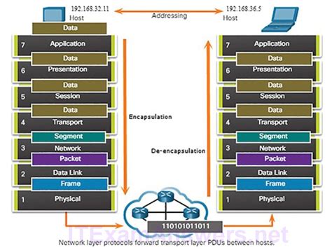 ccna cyber ops version 1 1 chapter 4 network protocols and services