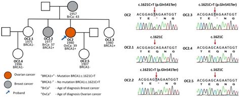 Brca1 2 Mutations In Vietnamese Patients With Hereditary Breast And Ovarian Cancer Syndrome