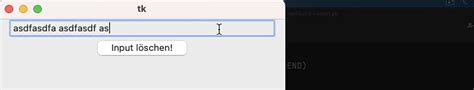 Das Tkinter Entry Widget Mit Video