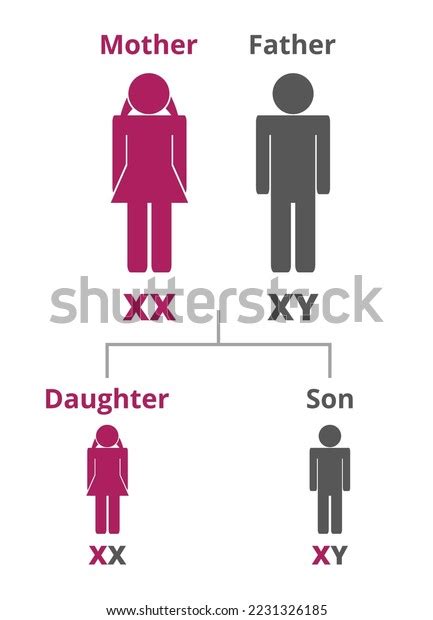 Y Sex Images Stock Photos Vectors Shutterstock