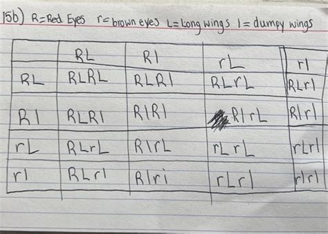 Genetics Lab Quiz Question Pool 1 Flashcards Quizlet