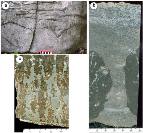 Figure 3 From Modern Black Sea Oceanography Applied To The End Permian Extinction Event