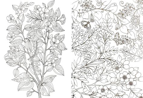 Двойные раскраски - 82 фото