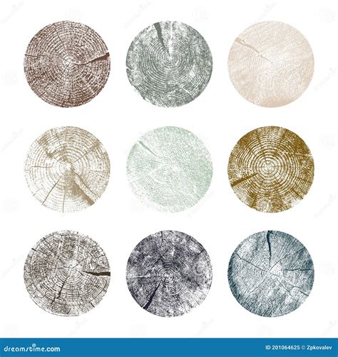 Tree Ring Clipart Vector Logo Wood Ring Circle Topography Map Stock Illustration Tree Ring Clipart Vector Logo Wood Ring Circle Topography Map Stock Illustration