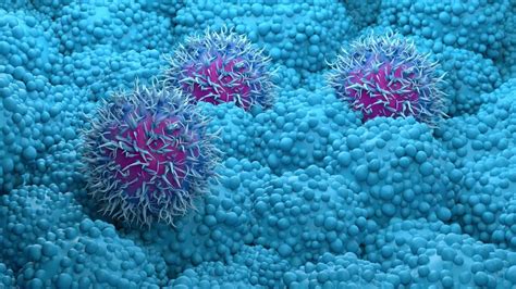 New Imaging Technique Offers Insights Into How Cancer Cells Work