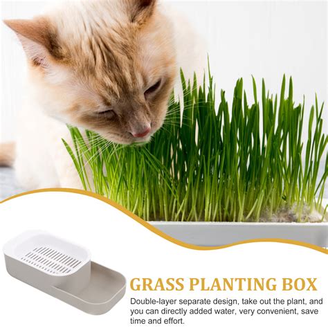 Cat Grass Planting Box Soilless Planter Catnip Pot For Home Pots Plants