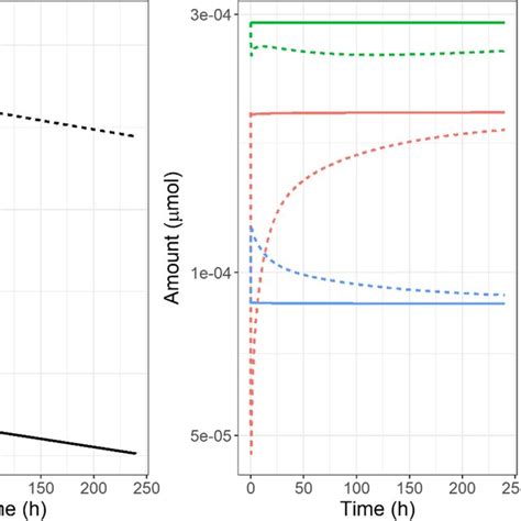 Simulation Of Fcrn Binding Large Molecules In The Extended Model The