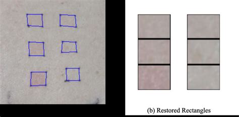 Visualization Of The Results Obtained From The Perspective Transform
