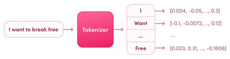tokenizer and tokenization