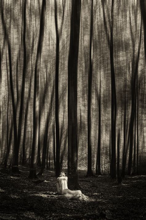 Nature Landscape Forest Free Photo On Pixabay Pixabay