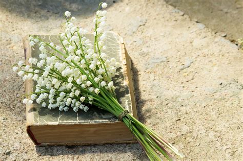 Most Popular Flowers For Wedding Bouquets