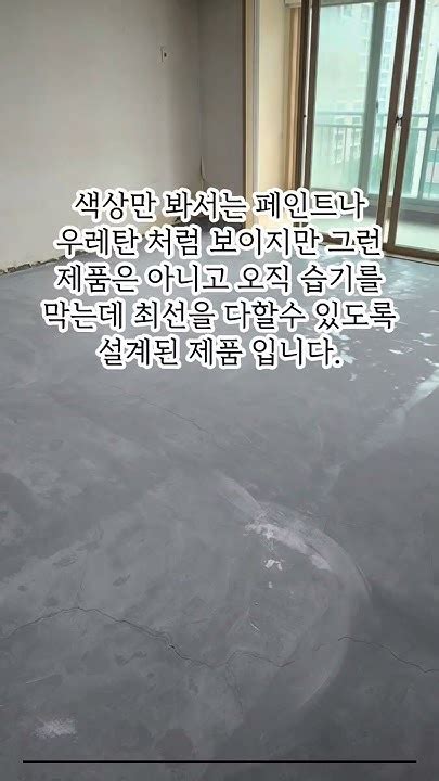 방바닥 습기 방바닥 곰팡이는 이것만 칠해도 성공 대신 습기의 원인부터 해결할것 Youtube