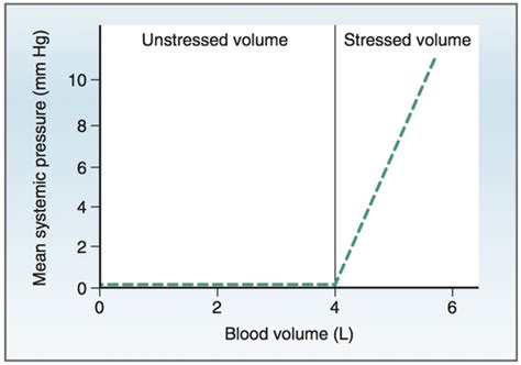 Lecture 14 Integration Of Cardiac Output And Venous Return Flashcards Quizlet