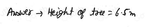 Solved Q4 Use The Measurements In This Diagram To Work Out The Height Of The Tree Height M2