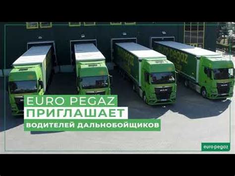 Работа в Польше водителем дальнобойщиком EURO PEGAZ - YouTube