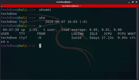 basic kali linux commands whoami tech dhee