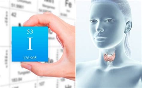 იოდის მნიშვნელობა ბავშვის ორგანიზმისთვის ვინ შედის იოდის დეფიციტის რისკის ჯგუფებში სასარგებლო