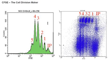 Cell Communication And Cell Signaling MCQ Free PDF Objective Question Answer For Cell