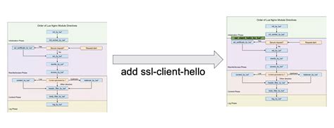 enhancing security and performance datavisor s dynamic use of apisix