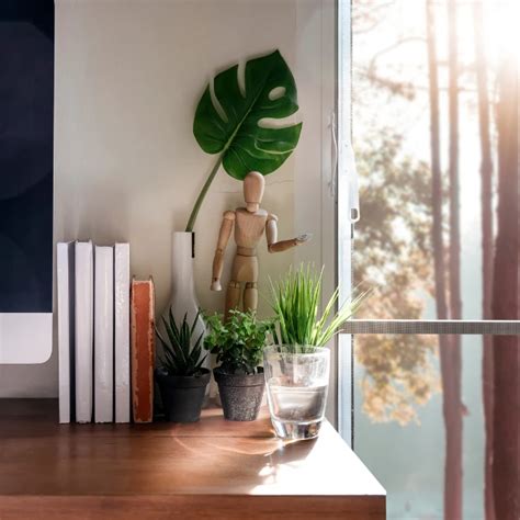 بهترین گل برای اتاق کار انتخاب گل مناسب برای میزکار عکس