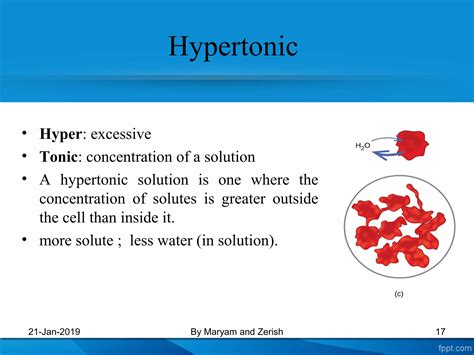 Isotonic Hypotonic And Hypertonic Solutions Ppt