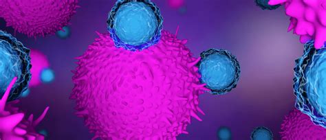 Introducing Cellgenix T Cell Medium — Early Onset Of T Cell Expansion