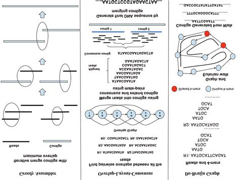 Overview Of Different De Novo Assembly Paradigms Schematic