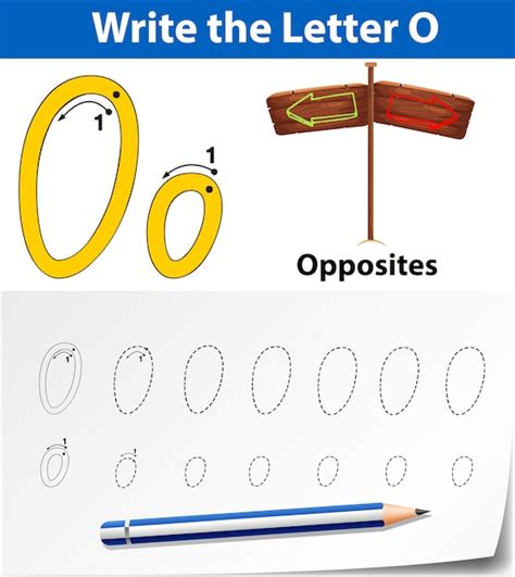 Premium Vector Write The Letter O English Card