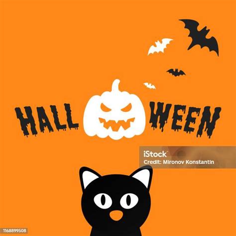 호박 박쥐 마녀 고양이와 흰색 배경 평면 스타일 디자인에 고립 된 텍스트 행복 할로윈 에 무서운 얼굴 해피 할로윈 텍스트 엽서 배너 10월에 대한 스톡 벡터 아트 및 기타