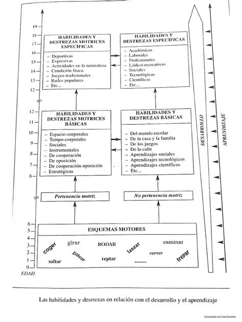 desarrollo de las hmb pdf