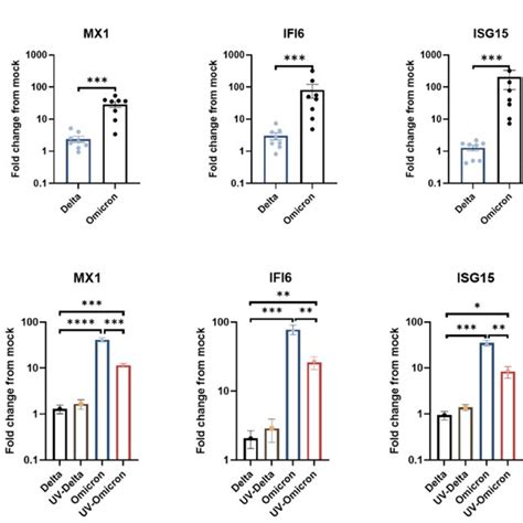 Lung Tissue Interferon Response To Sars Cov 2 Omicron And Delta Lung Download Scientific