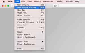 How To Fix Safari This Connection Is Not Private Error On Mac Techs Gizmos