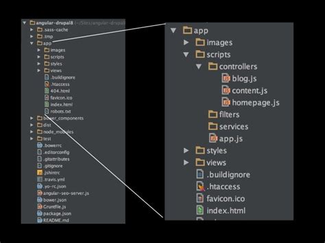 Building The Front End With Angularjs
