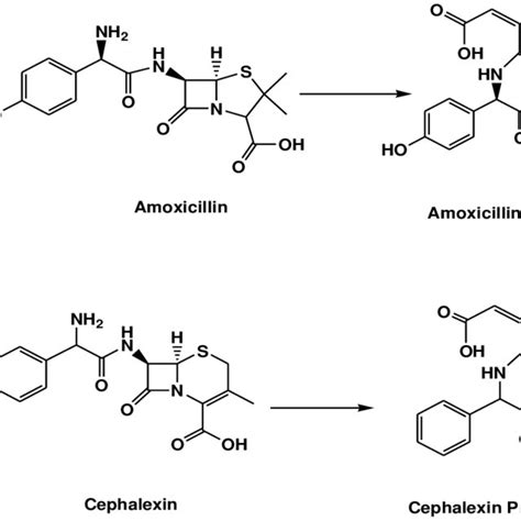Pdf Antibacterial Activity Of Novel Prodrugs Of Amoxicillin And Cephalexin