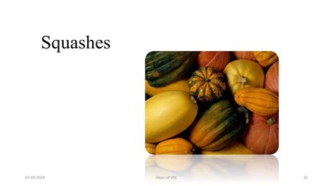 Cucurbits Physiological Disorders Cucurbitaceae PPTX