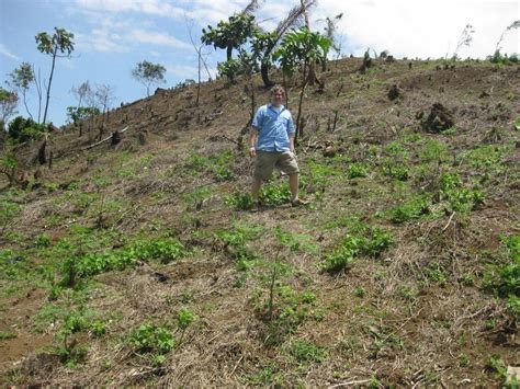 Kaingin Philippin News Collections