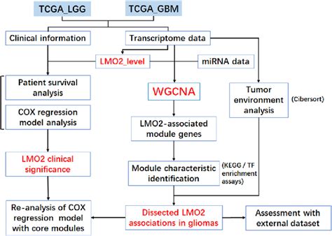 The Flowchart Of Working Pipeline For This Study Download Scientific