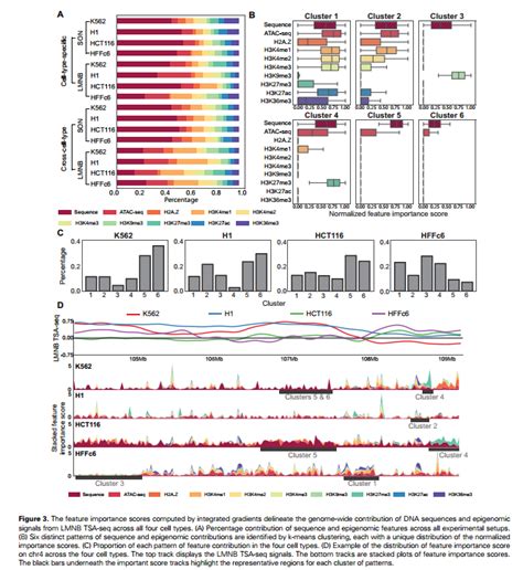Bioinformatics Unadon：基于transformer以预测全基因组染色体空间位置 智源社区
