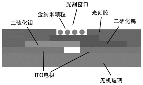 Two Dimensional Material Heterojunction Photoelectric Detector With