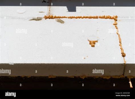 The Process Of Insulating A House With Polystyrene Foam Insulation A Thick Sheet Of White Foam