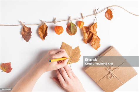 여성의 손은 단풍 나무 잎에 축하를 써서 흰색 배경에 가을 단풍 나무가있는 선물 상자를 장식합니다 계절에 대한 스톡 사진 및 기타 이미지 Istock